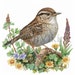Wren Clipart | 10 High Quality Jpgs | Digital Download | Card Making ...