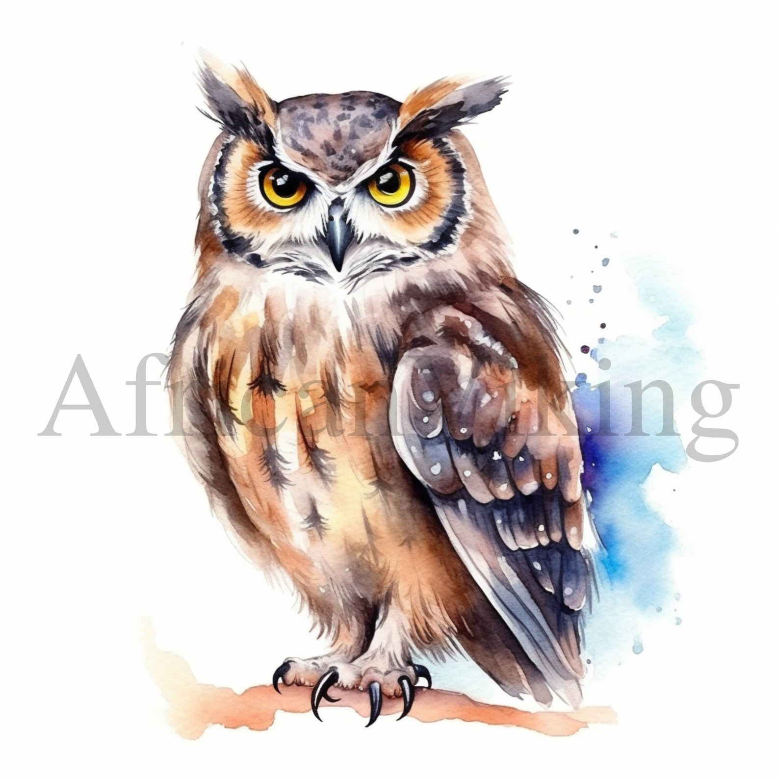 Watercolor Owl Clipart 10 High Quality Jpgs Digital Download Card ...