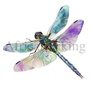 Dragonfly Clipart | 10 High Quality Jpgs | Digital Download | Nursery ...
