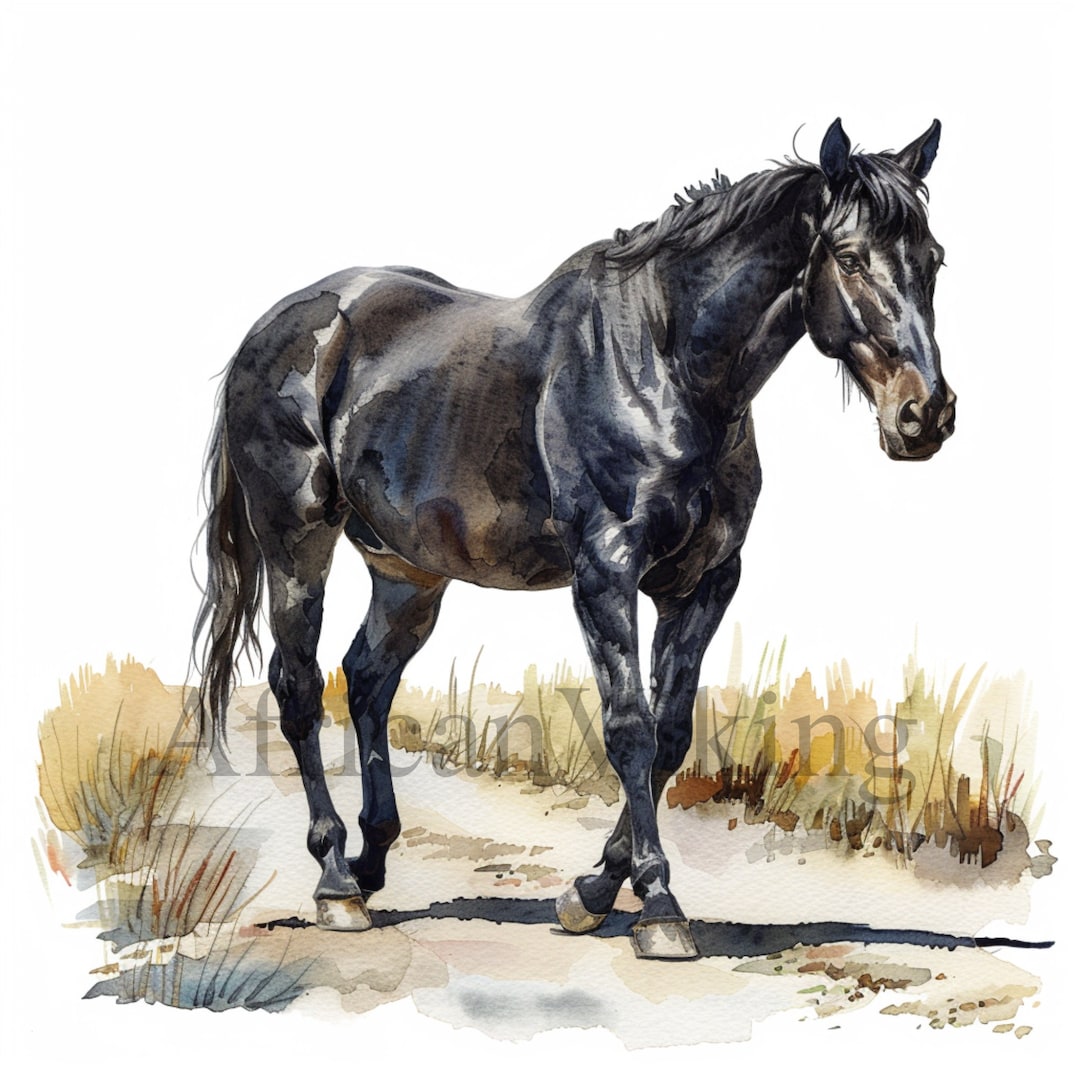 Watercolor Black Horse Clipart | 5000x5000 Jpgs (digital Download ...