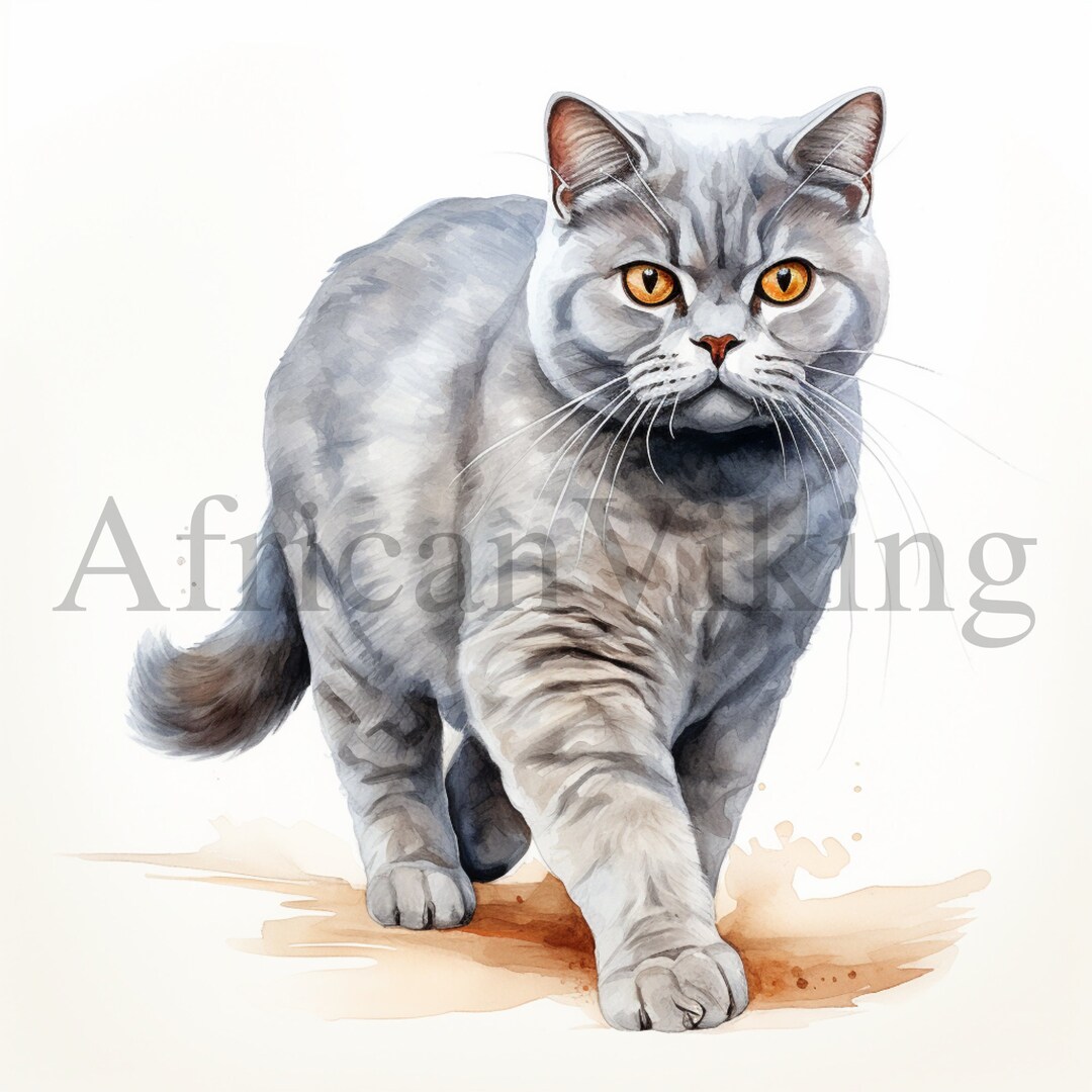 British Shorthair Cats Clipart | 10 High Quality Jpgs | Digital ...