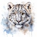 Snow Leopard Clipart | 10 High Quality Jpgs | Digital Download | Card ...