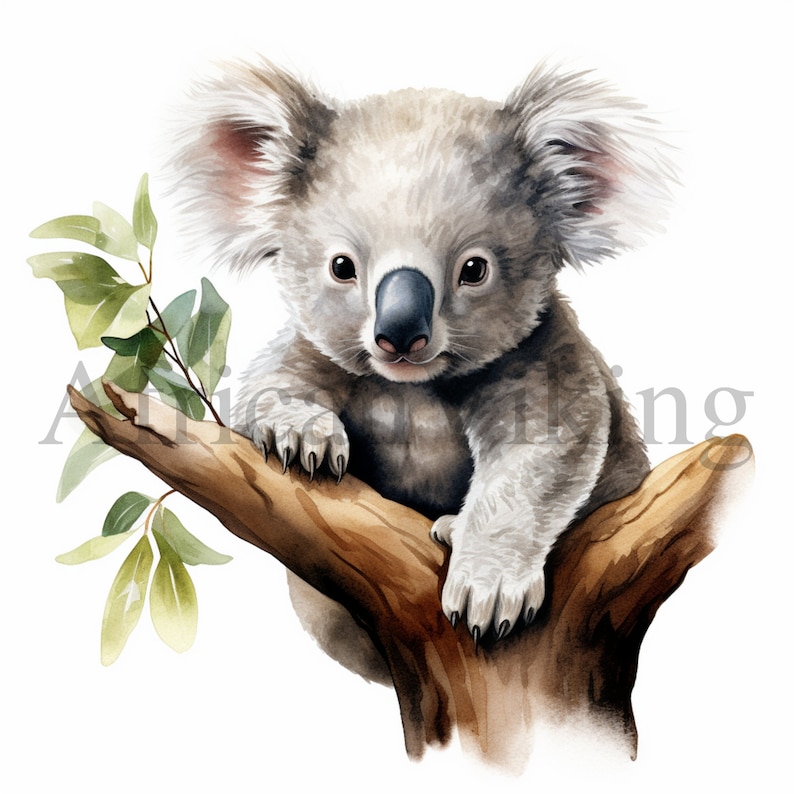Watercolor Koala Clipart | 10 High Quality Jpgs | Digital Download ...