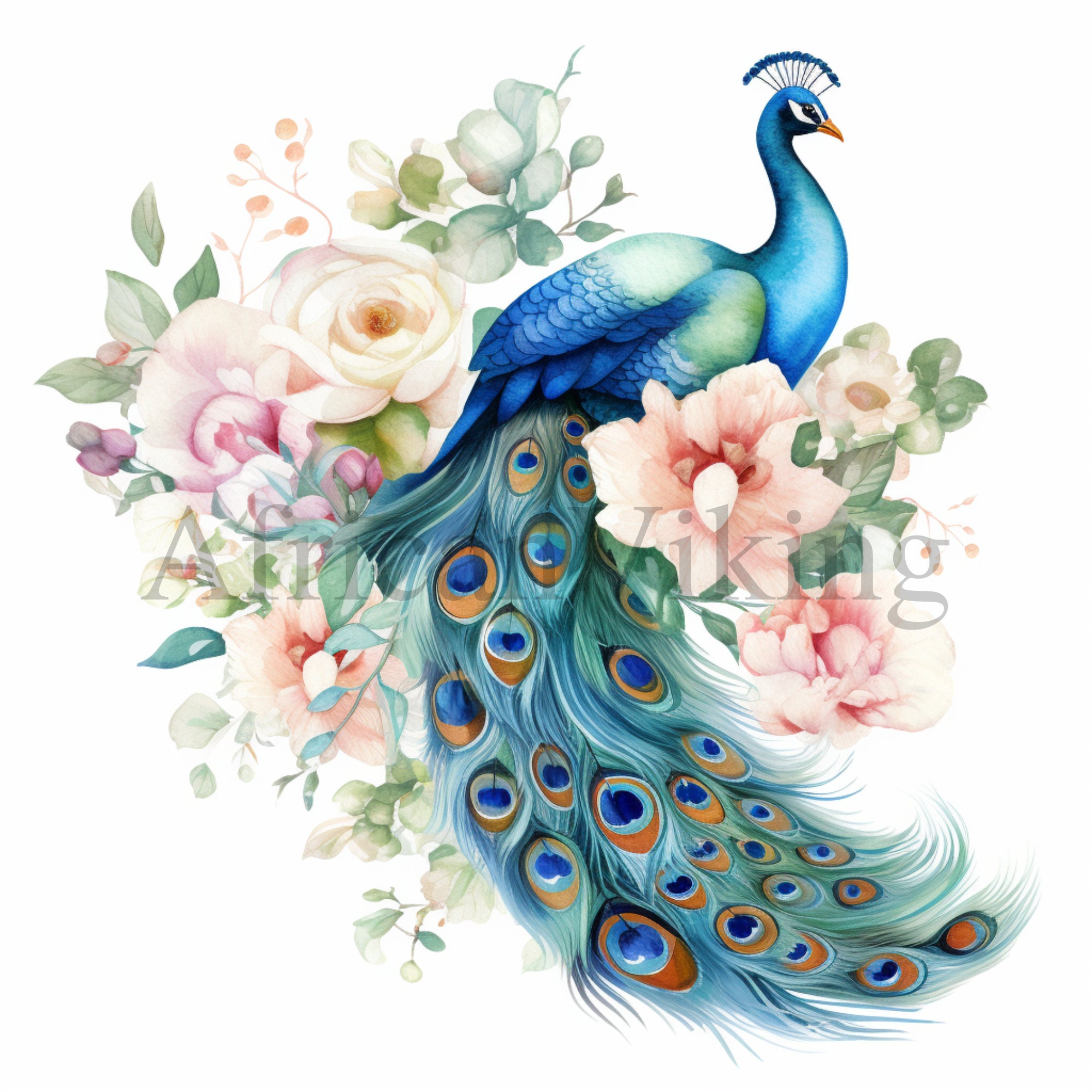 Floral Peacock Clipart | 10 High Quality Jpgs | Nursery Art | Card ...
