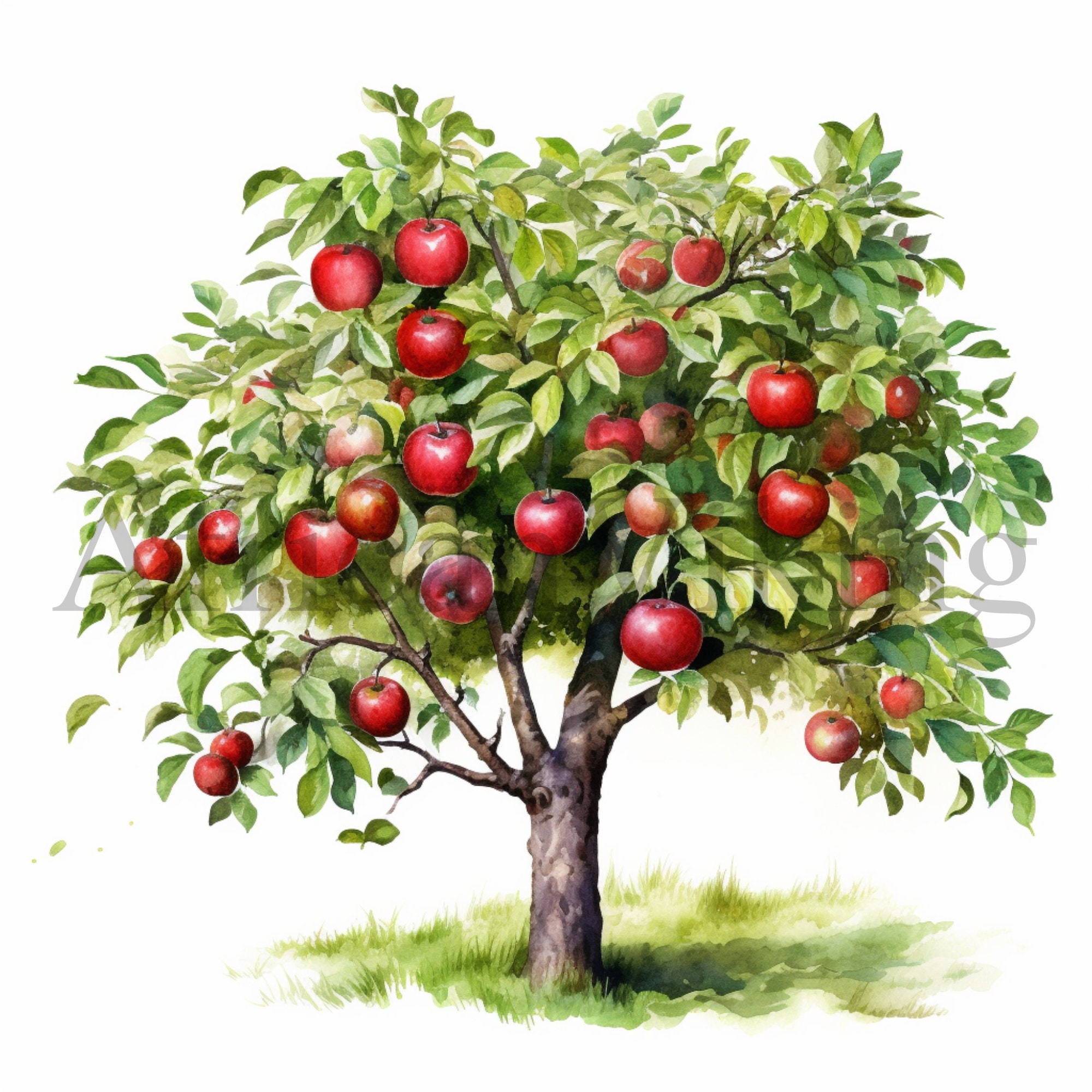 Apple Trees Clipart 10 High Quality Jpgs Digital Download Apple Tree ...