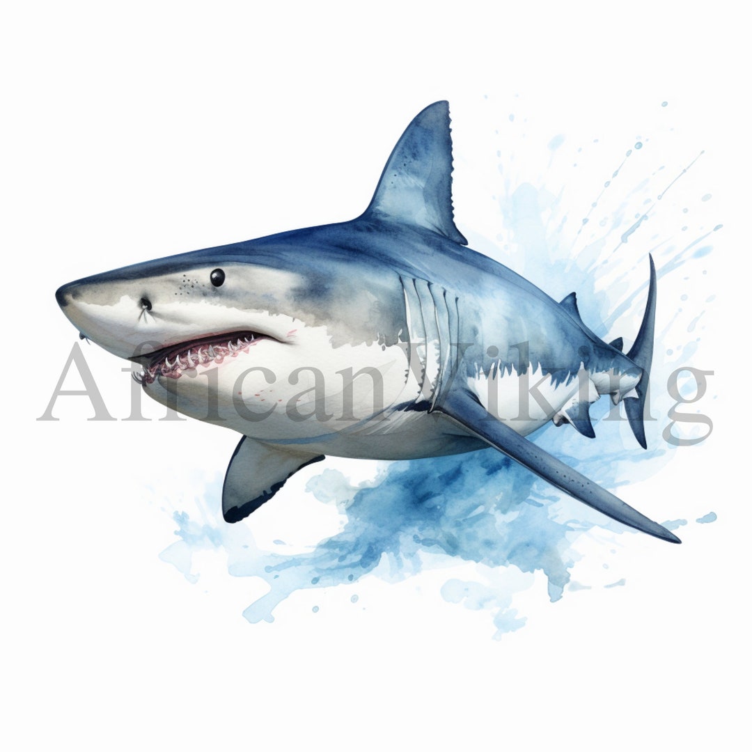 Shark Clipart 10 High Quality Jpgs Digital Download Watercolour ...
