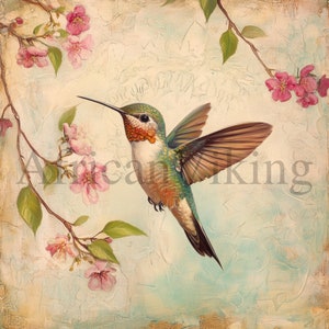Romantic Hummingbird Papers | 10 High Quality Jpgs | Digital Download ...