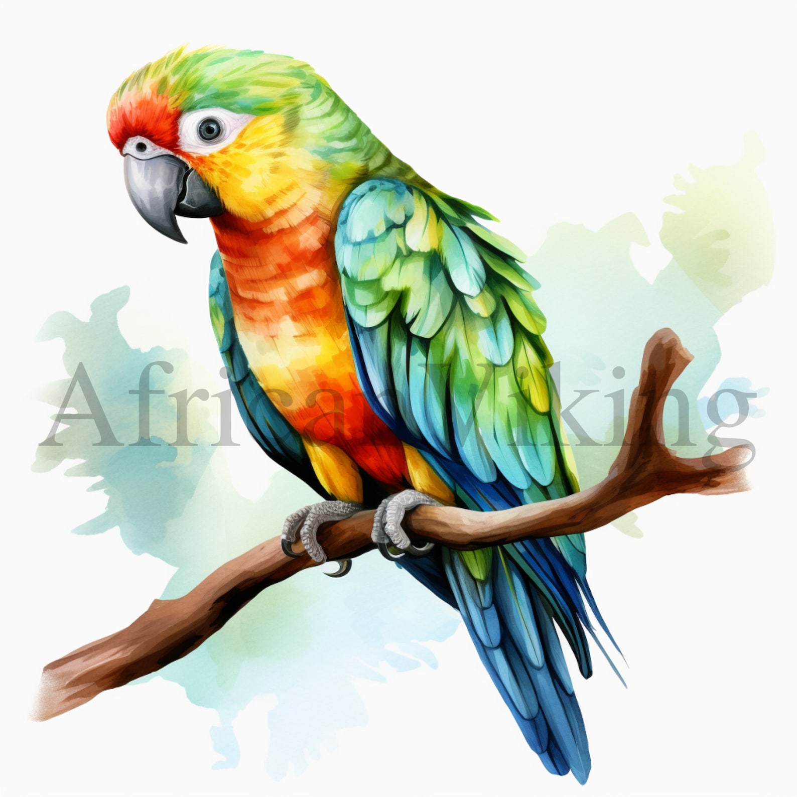 Colorful Parrot Clipart 10 High Quality Jpgs Digital Download Nursery ...