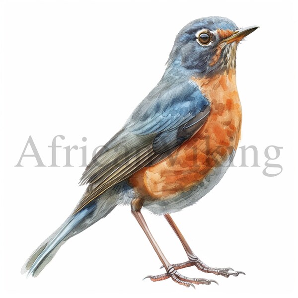 Spring Robin - Etsy