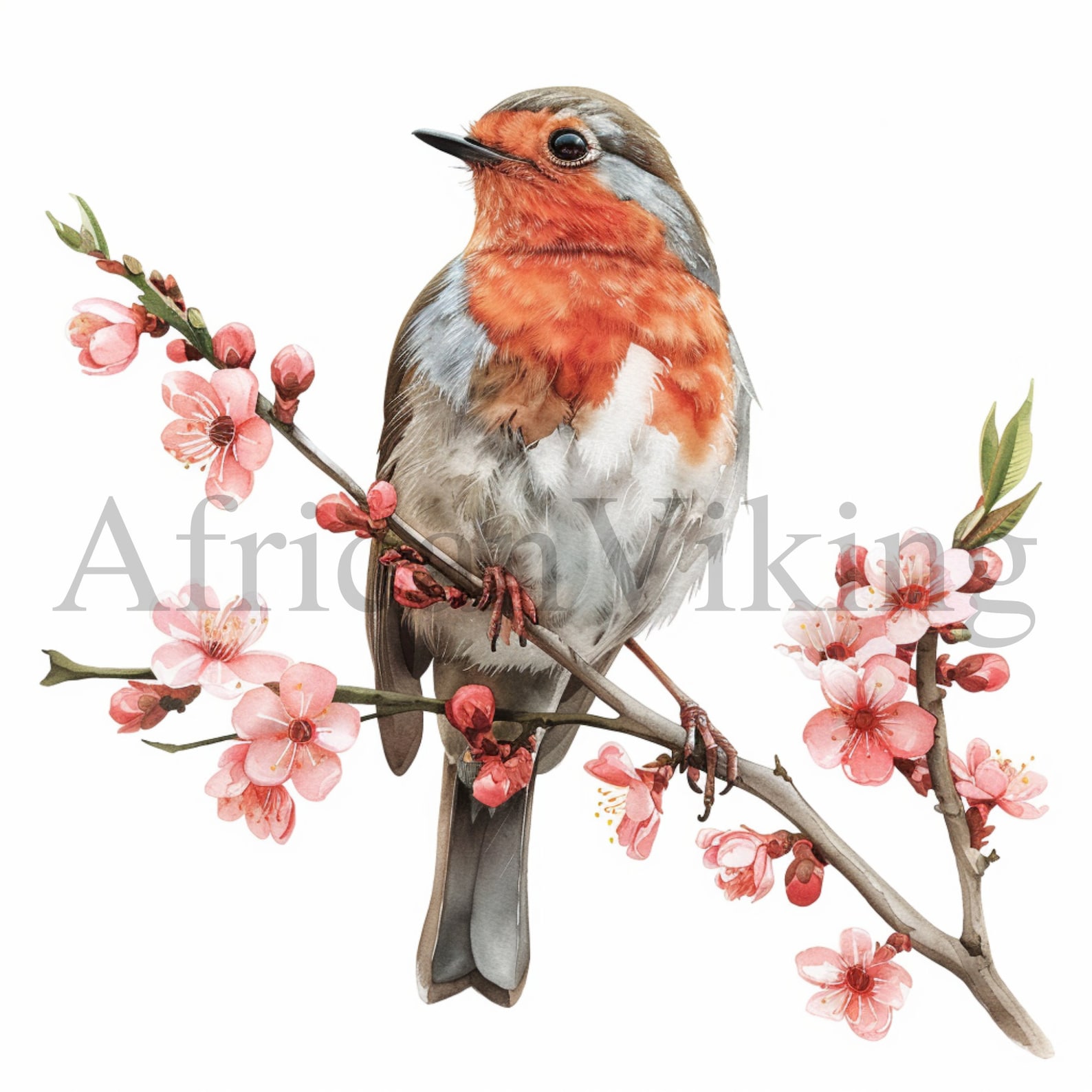 Robin Bird Spring Blossom Clipart | Nursery Art (digital Download) - Etsy