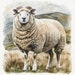 Sheep Clipart: Farm Animal Jpgs for Nursery Art (digital Download) - Etsy