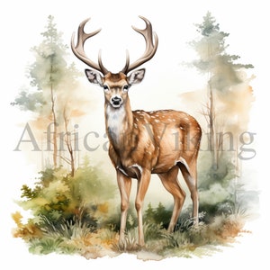 Vintage Deers Clipart | 10 High Quality Jpgs | Digital Download ...