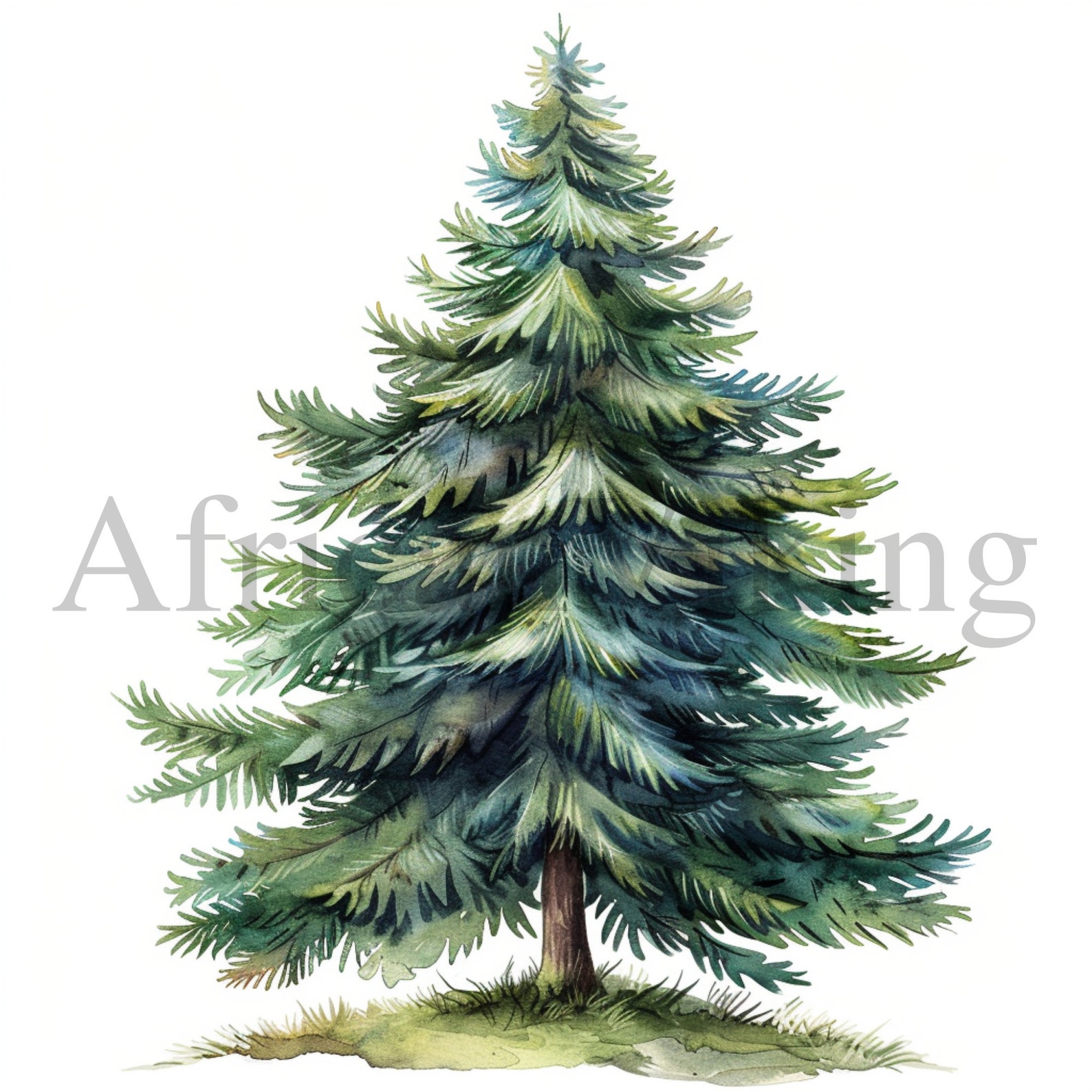 Fir Trees Clipart | 10 High Quality Jpgs | Digital Download | Card ...