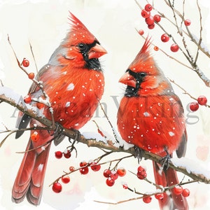 Watercolor Winter Red Cardinals Clipart | 10 High Quality Jpgs ...