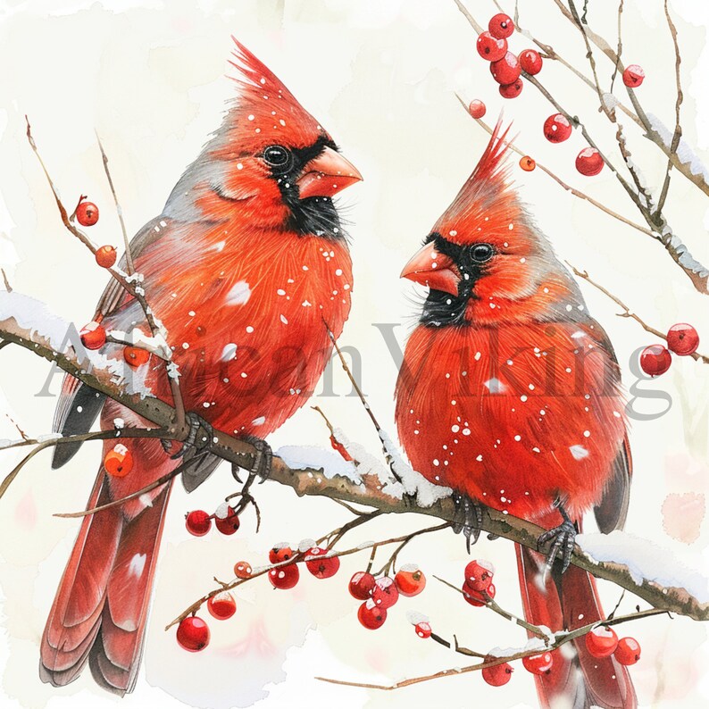 Watercolor Winter Red Cardinals Clipart | 10 High Quality Jpgs ...