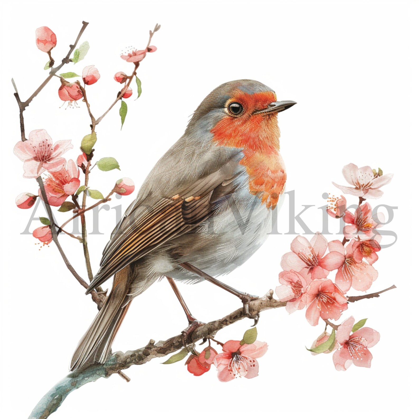 Robin Bird Spring Blossom Clipart | Nursery Art (digital Download) - Etsy