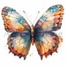 Whimsical Butterflies Clipart | 10 High Quality Jpgs | Digital Download ...