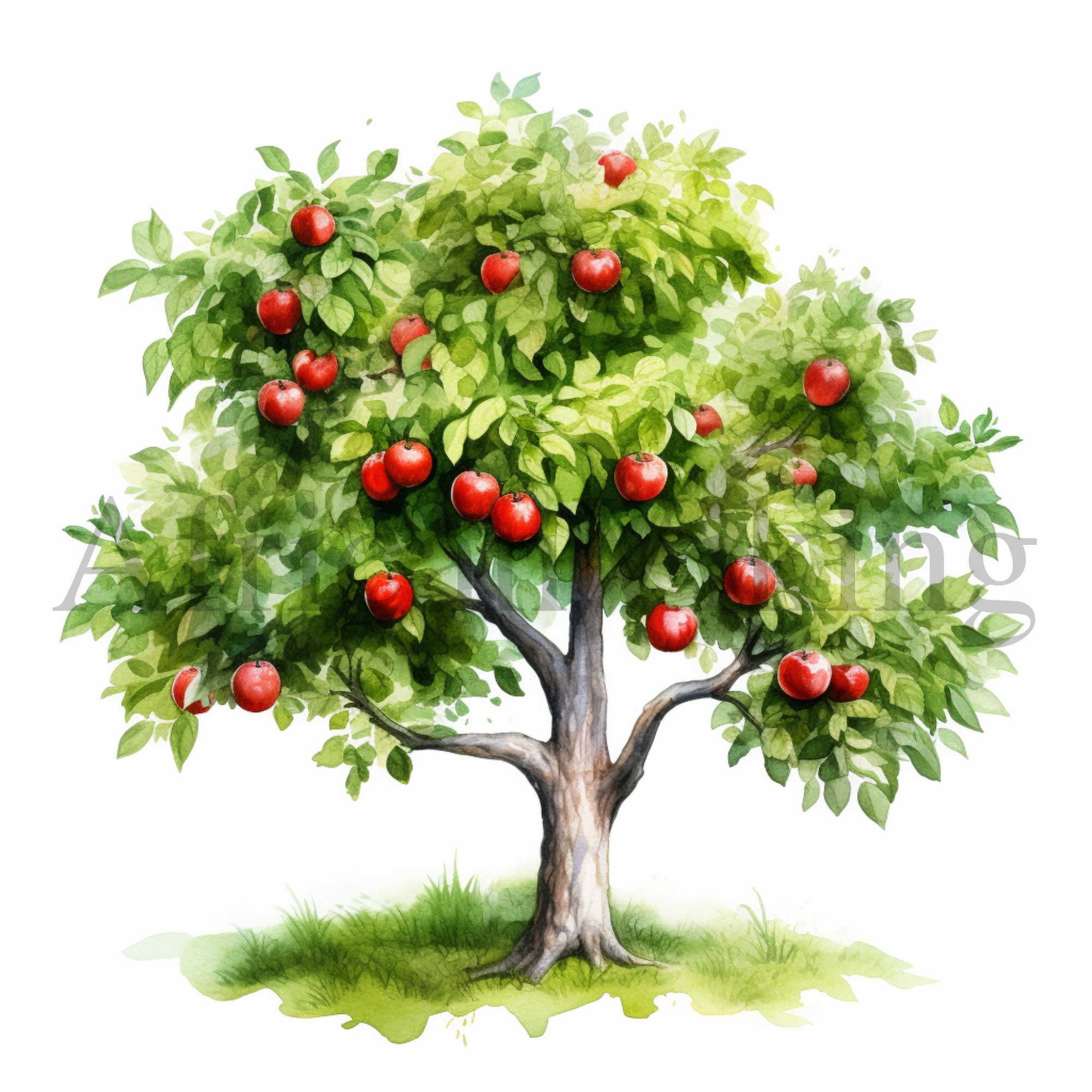 Watercolor Apple Trees Clipart | 10 High Quality Jpgs | Digital ...