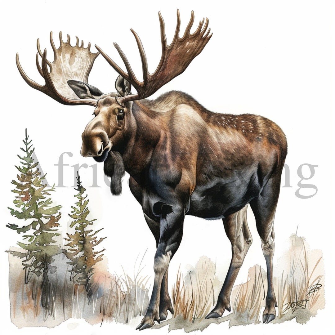 Moose Clipart | 10 High Quality Jpgs | Digital Download | Card Making ...