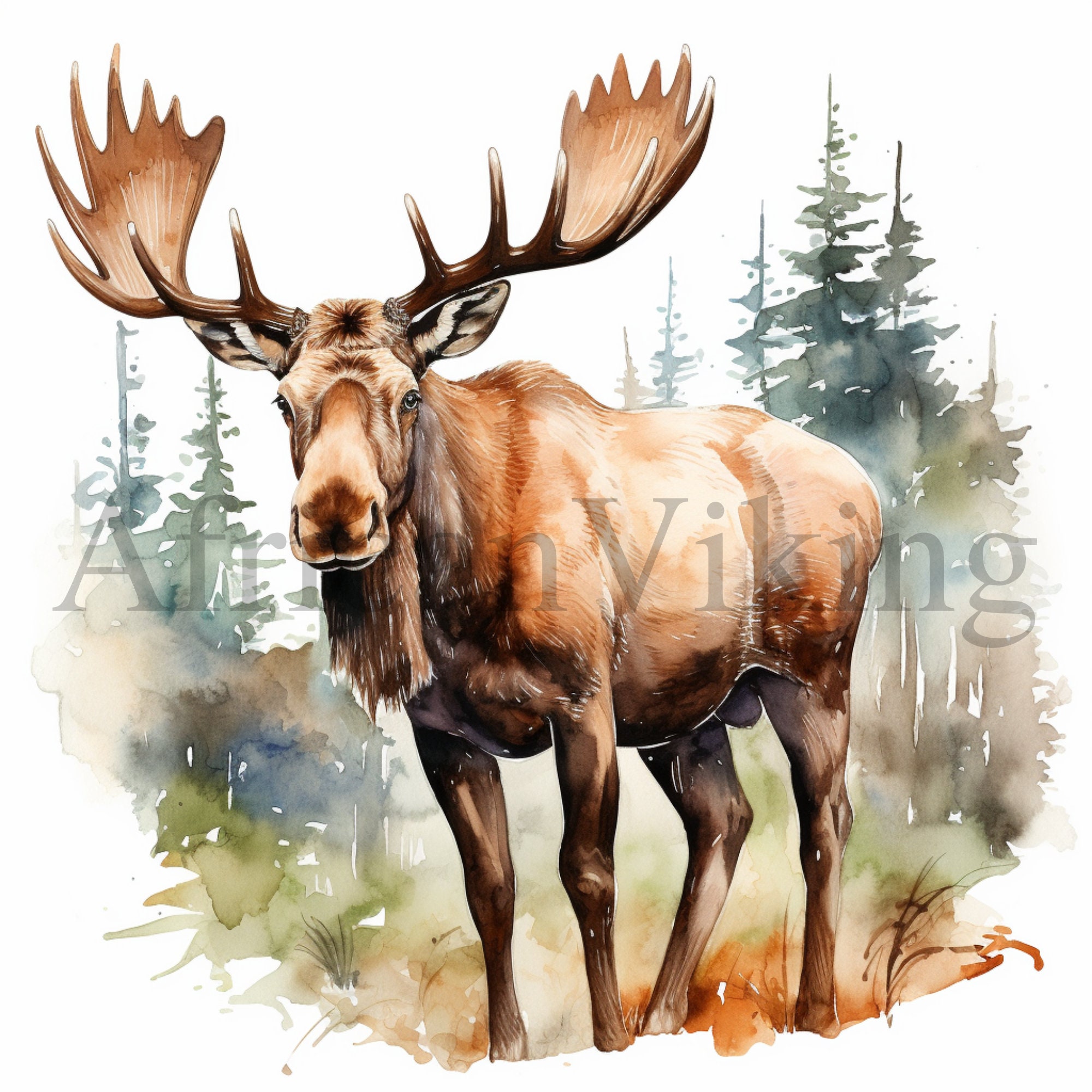 Moose Clipart 10 High Quality Jpgs Card Making Animal Clipart Digital ...