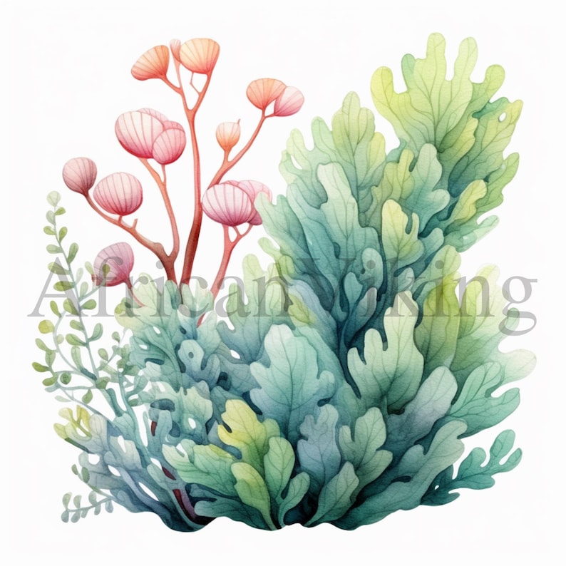 Sea Plants Clipart | 10 High Quality Jpgs | Digital Download | Sea Life ...