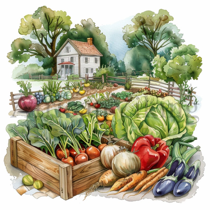 Vegetable Garden Clipart: Farmhouse JPG Images (digital Download) - Etsy