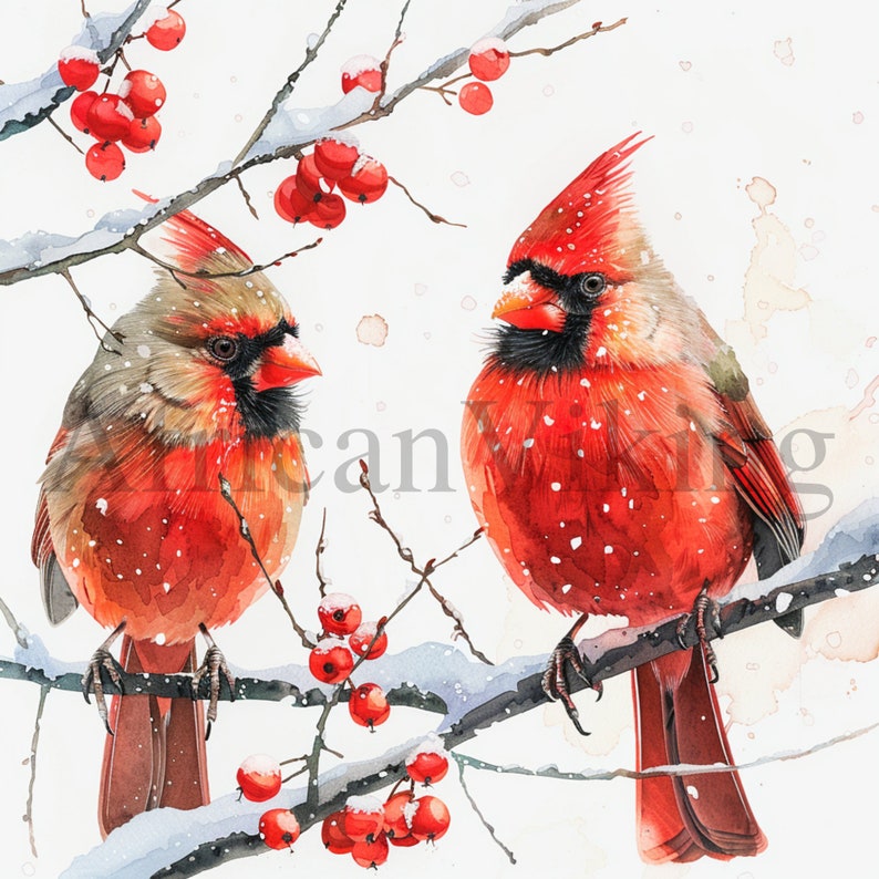 Watercolor Winter Red Cardinals Clipart | 10 High Quality Jpgs ...