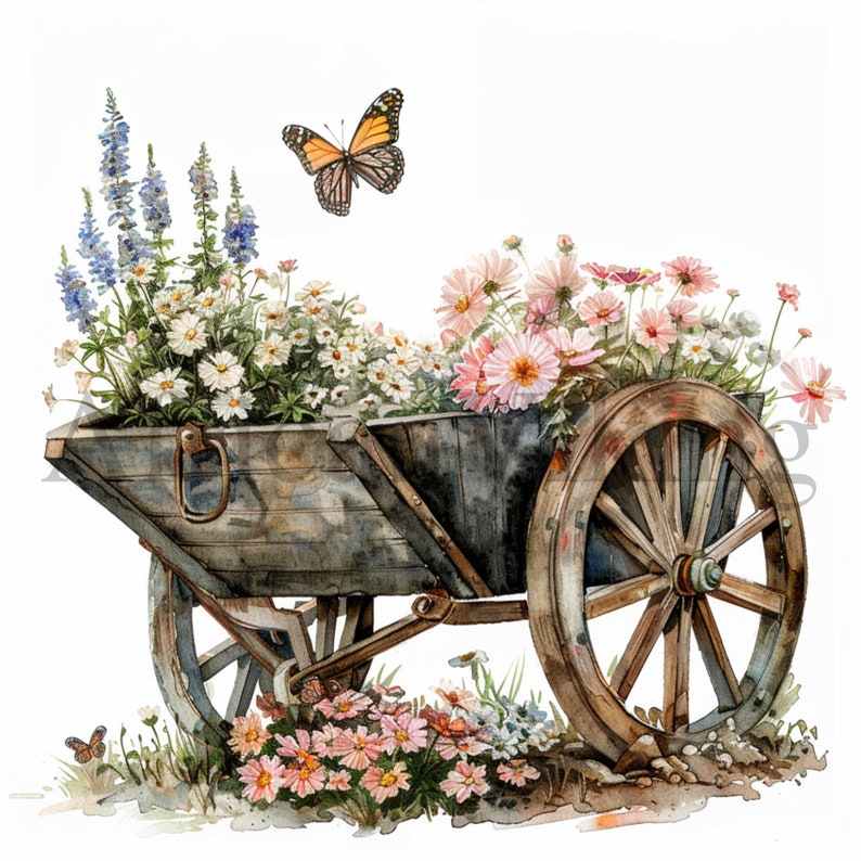Floral Wheelbarrow Clipart | Colorful Flowers, Butterflies (digital ...