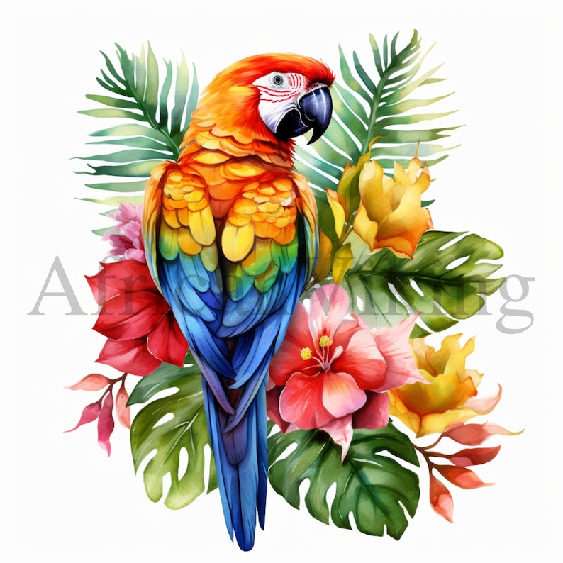 Colorful Parrot Clipart | 10 High Quality Jpgs | Digital Download ...