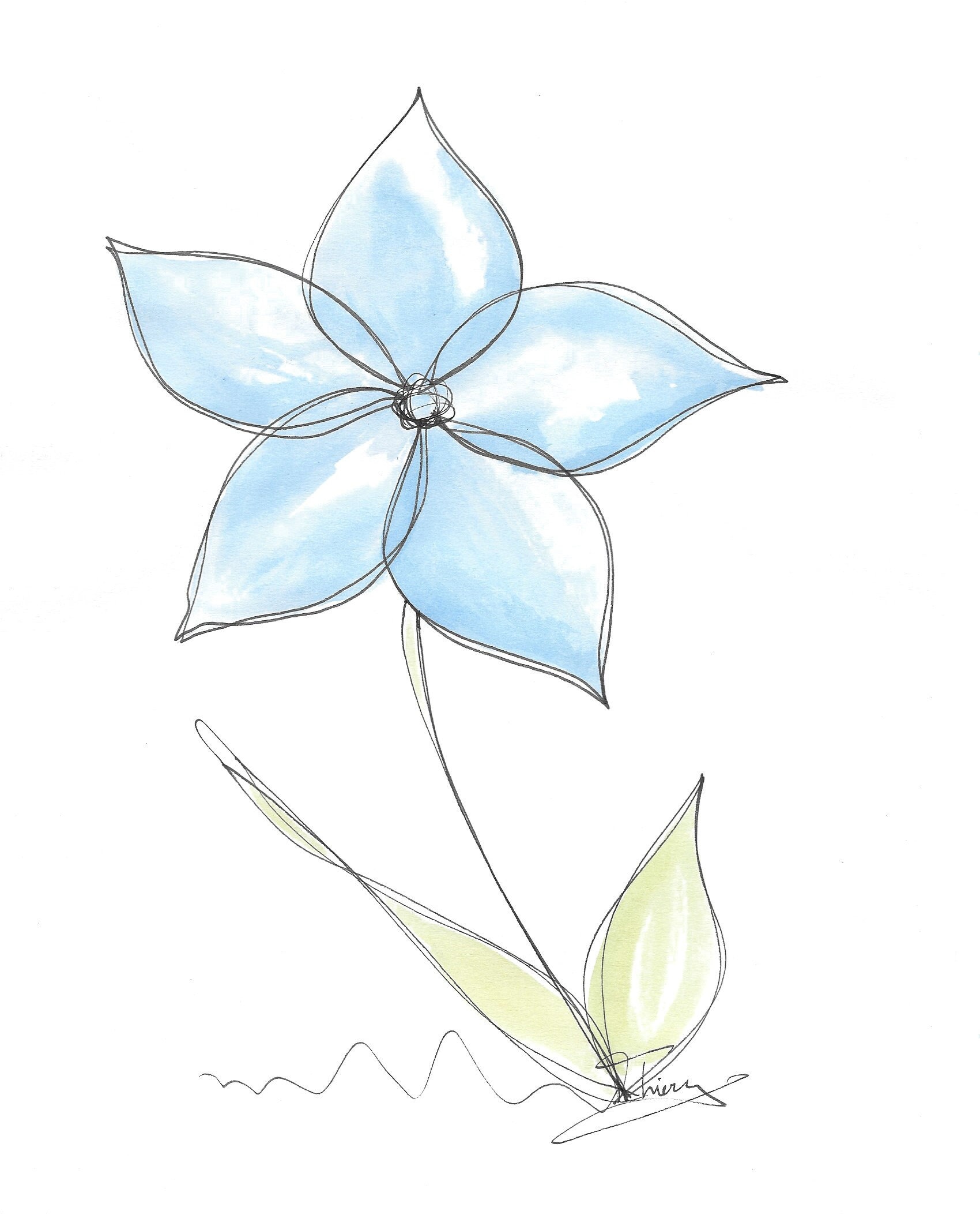 Blue Flower, Simplistic Line Drawing, Ink Line Art, One Line Blue ...
