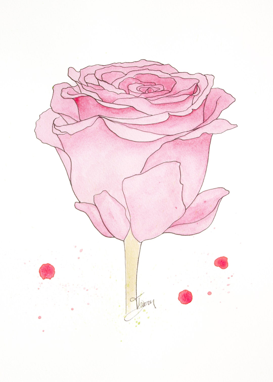 Digital Print of a Pink Rose - Etsy