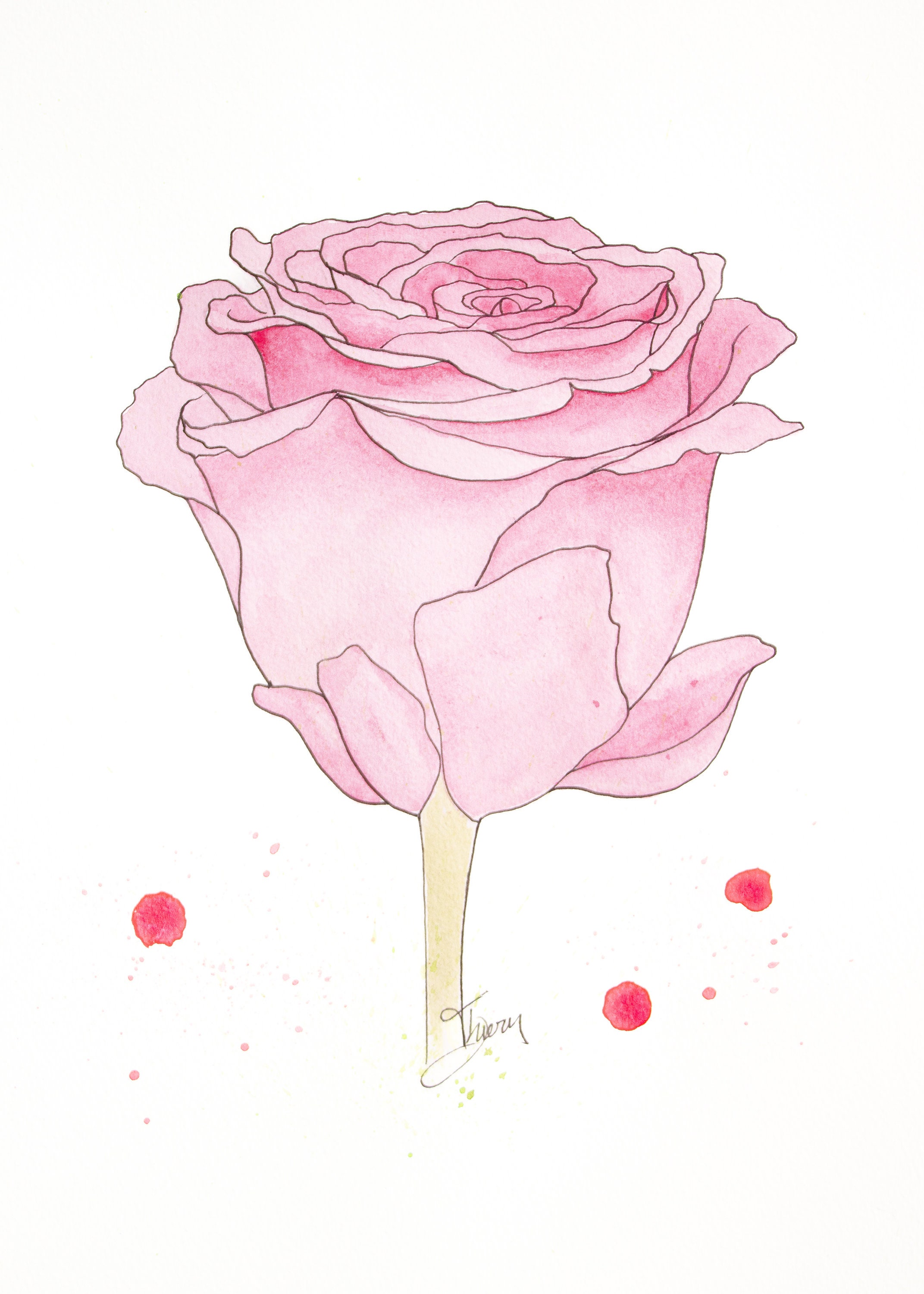 Digital Print of a Pink Rose - Etsy
