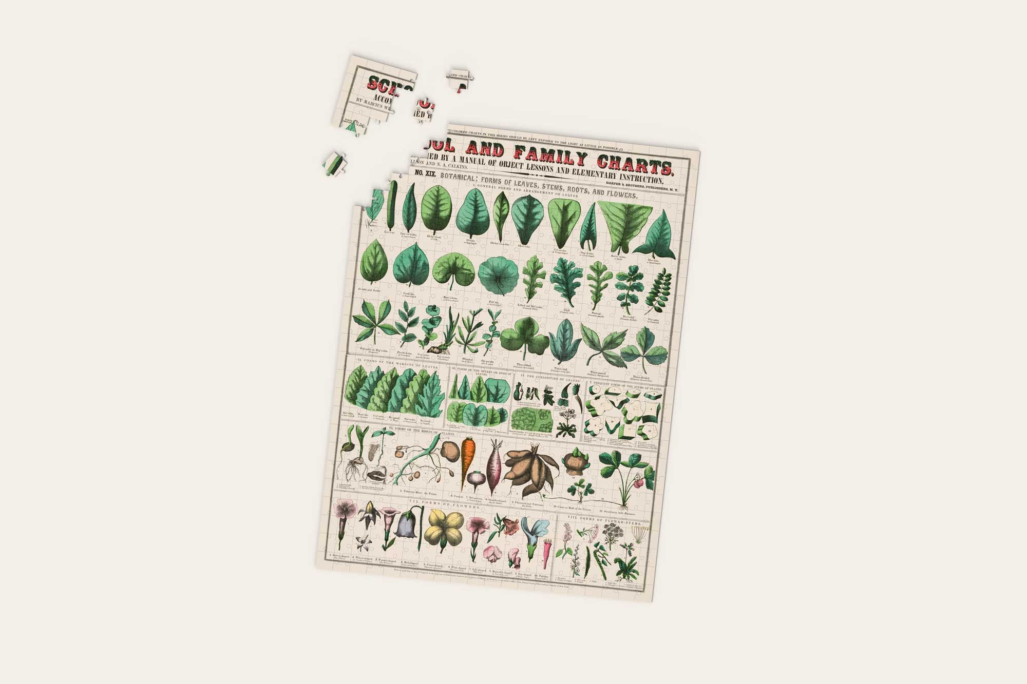 Puzzle for Adults Botanical Leaves Stems Roots & Flowers 120/252/500 ...