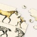 Puzzle for Adults, Hans Kraemer Vintage Horse Poster, 120/252/500 ...