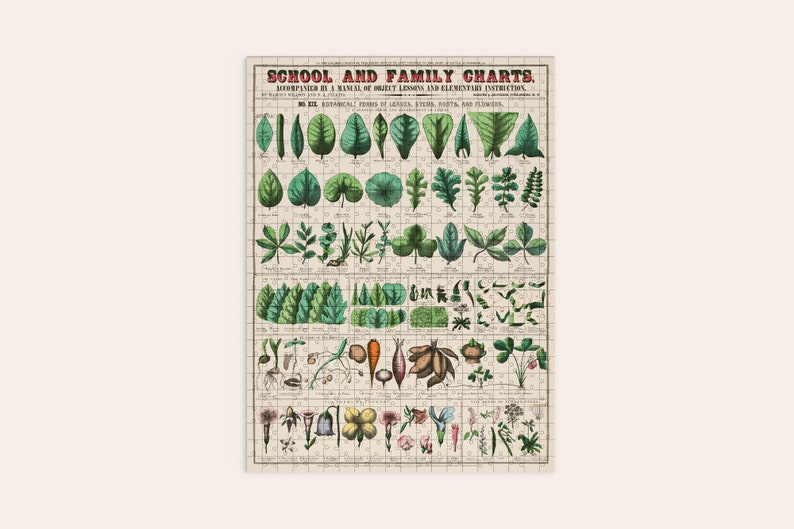 Puzzle for Adults Botanical Leaves Stems Roots & Flowers 120/252/500 ...