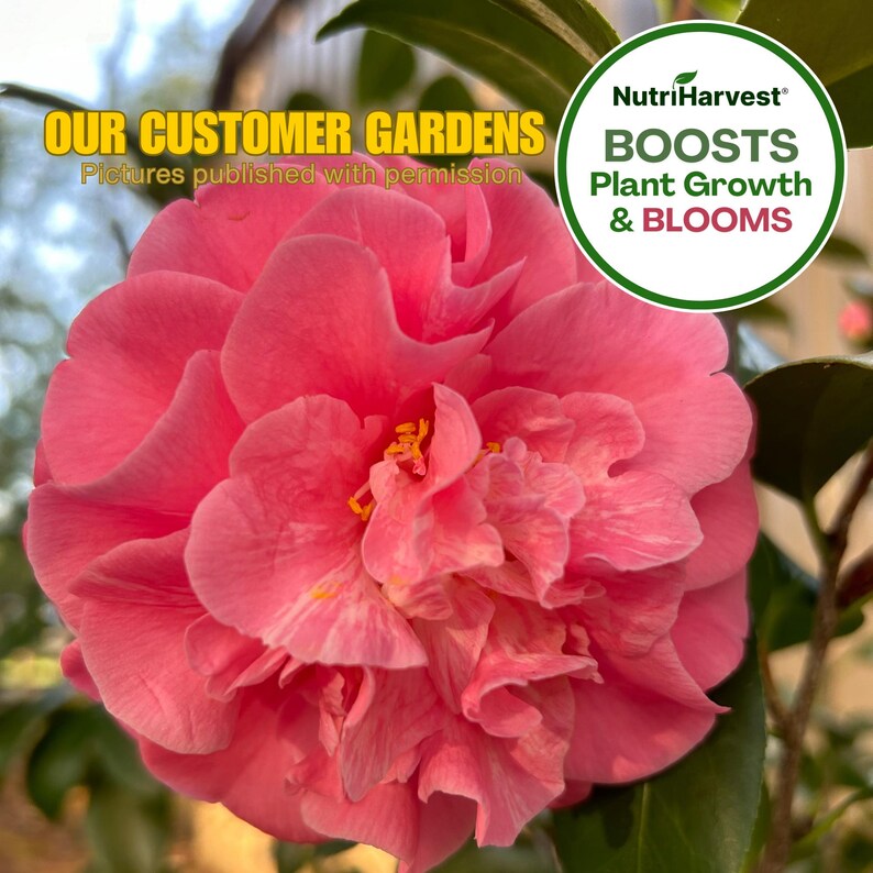 Nutriharvest® Super Organic Fertilizer 3-3-3, 1 Lb. Omri-listed for ...