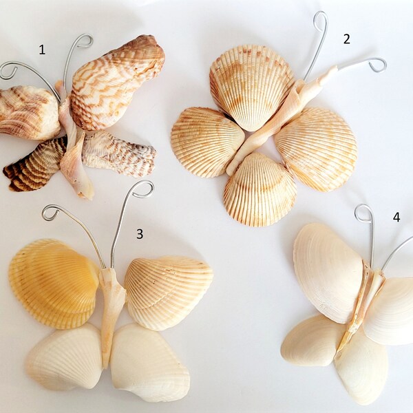 Seashell Butterfly - Etsy