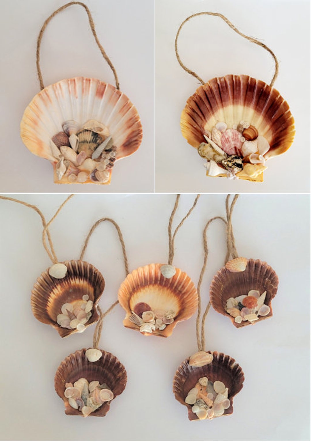 Seashell Ornament, Shell Décor, Beach Art, Coastal, Handmade, Wall ...