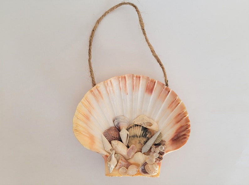 Seashell Ornament, Shell Décor, Beach Art, Coastal, Handmade, Wall ...