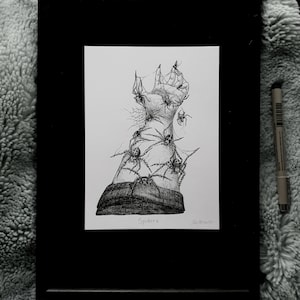 SPIDERS Original Fineliner Illustration / Pen and Ink Drawing Araneae ...