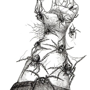 SPIDERS Original Fineliner Illustration / Pen and Ink Drawing Araneae ...