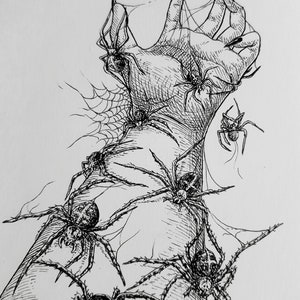 SPIDERS Original Fineliner Illustration / Pen and Ink Drawing Araneae ...