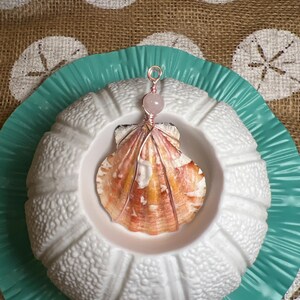 Unique Shell and Crystal Jewelry, Handmade Wire Wrapped Shells, and ...
