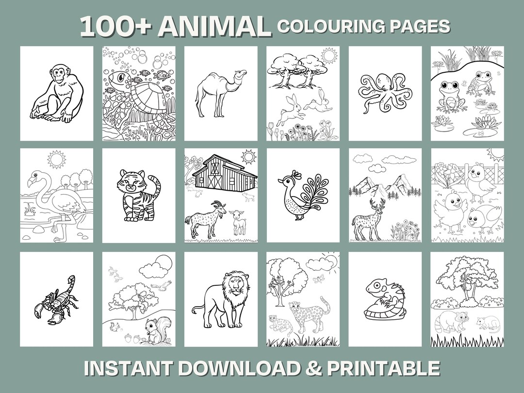 BUNDLE Animal Coloring Pages for Kids, Toddler, Preschool, Homeschool ...