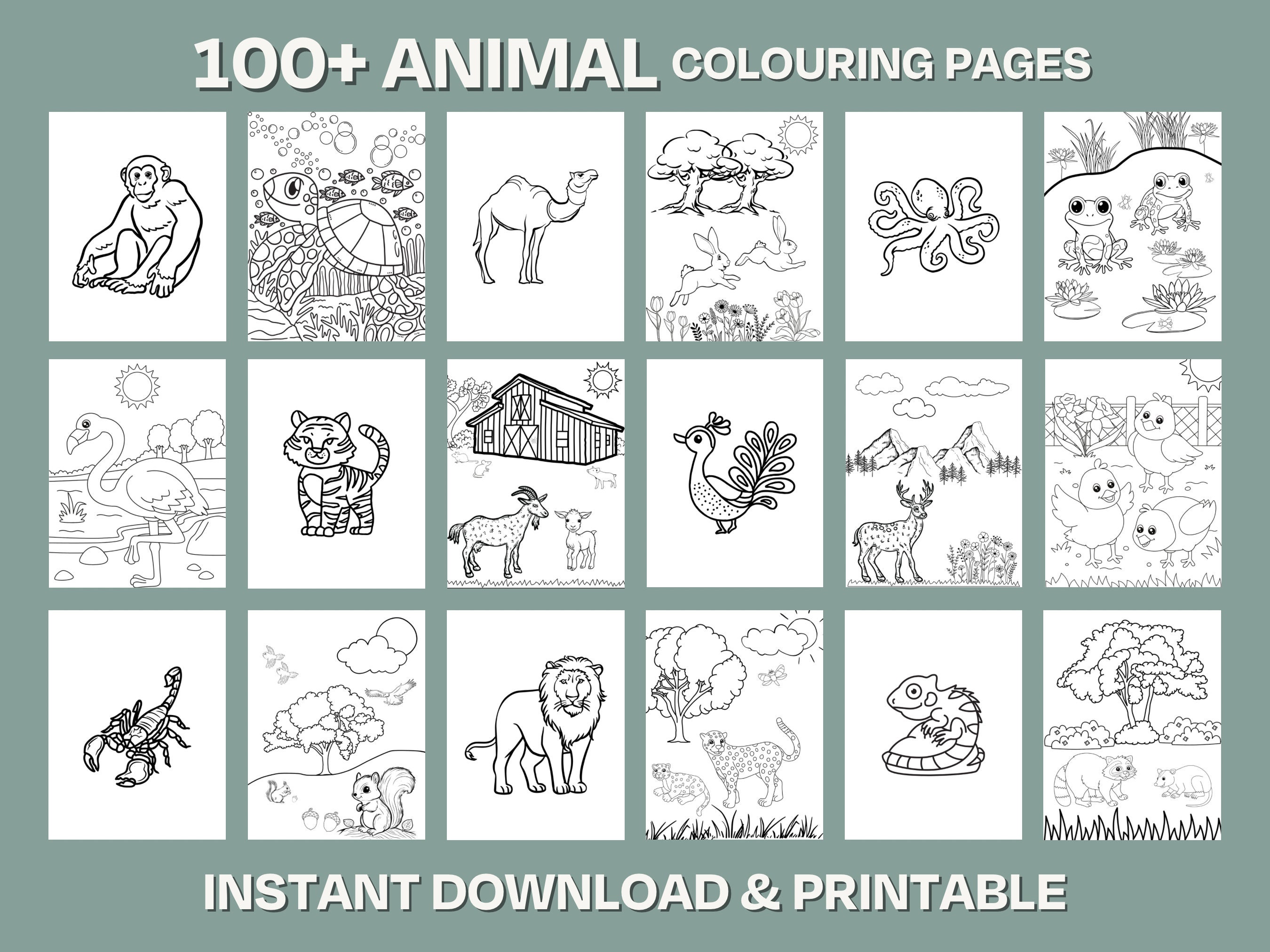 100 Animal Coloring Pages for Kids Toddlers, Preschoolers, Homeschool ...