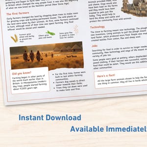 Stone Age Fact Files | Prehistoric Human History Learning Primary ...