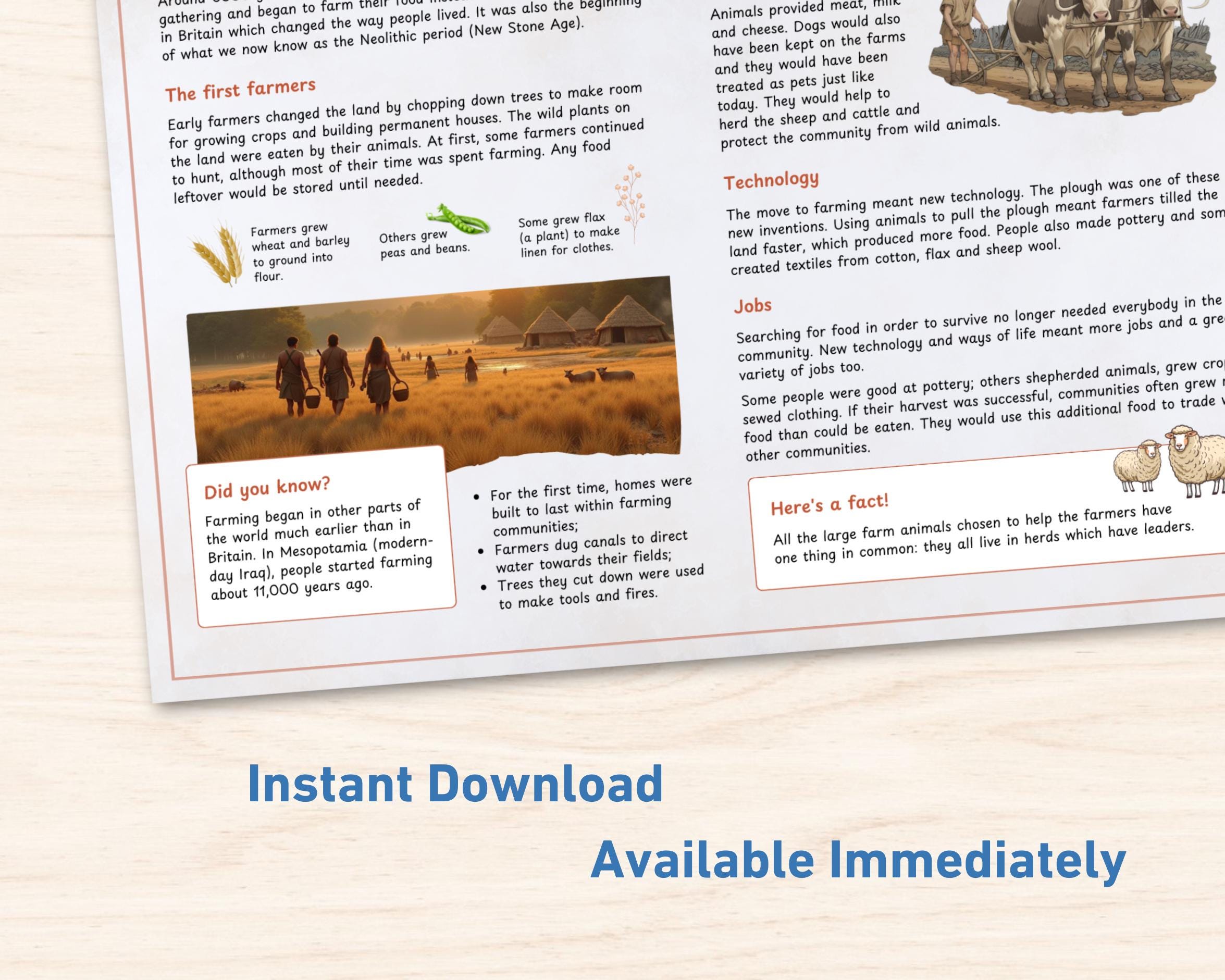 Stone Age Fact Files Prehistoric Human History Learning Primary ...