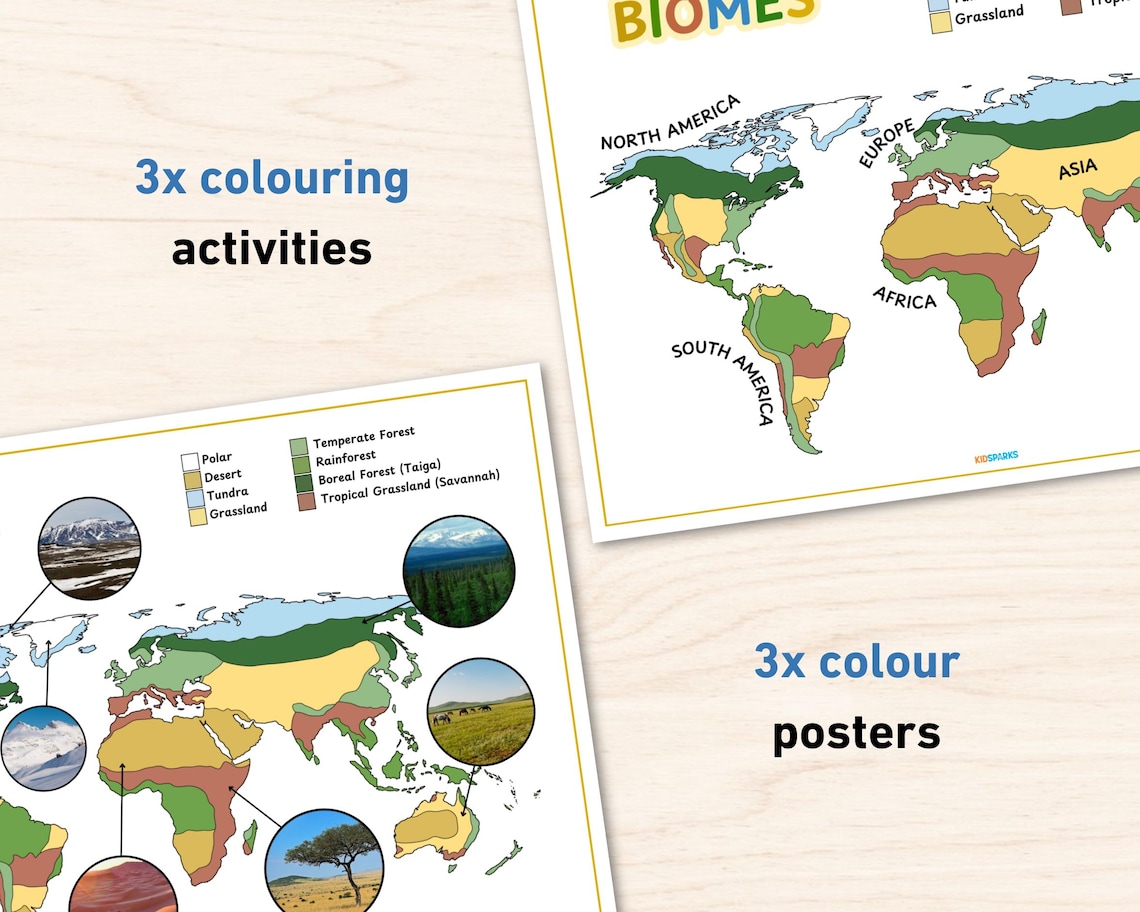 Biomes Printable Colouring Activity, Kids Geography, Map Learning ...