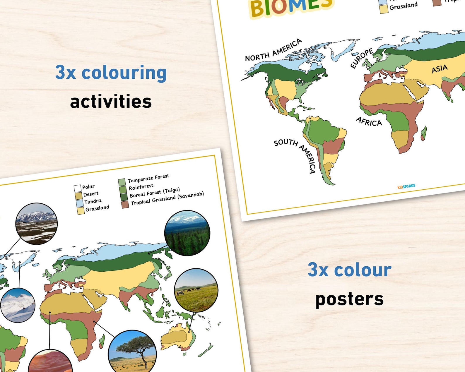 Biomes Printable Colouring Activity, Kids Geography, Map Learning ...