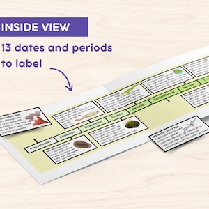 Printable Life on Earth Foldable Timeline | Educate About Geography ...